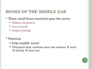 Special sense of hearing | PPT