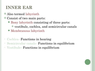 Special sense of hearing | PPT