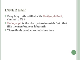 Special sense of hearing | PPT
