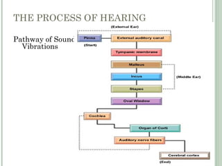 Special sense of hearing | PPT