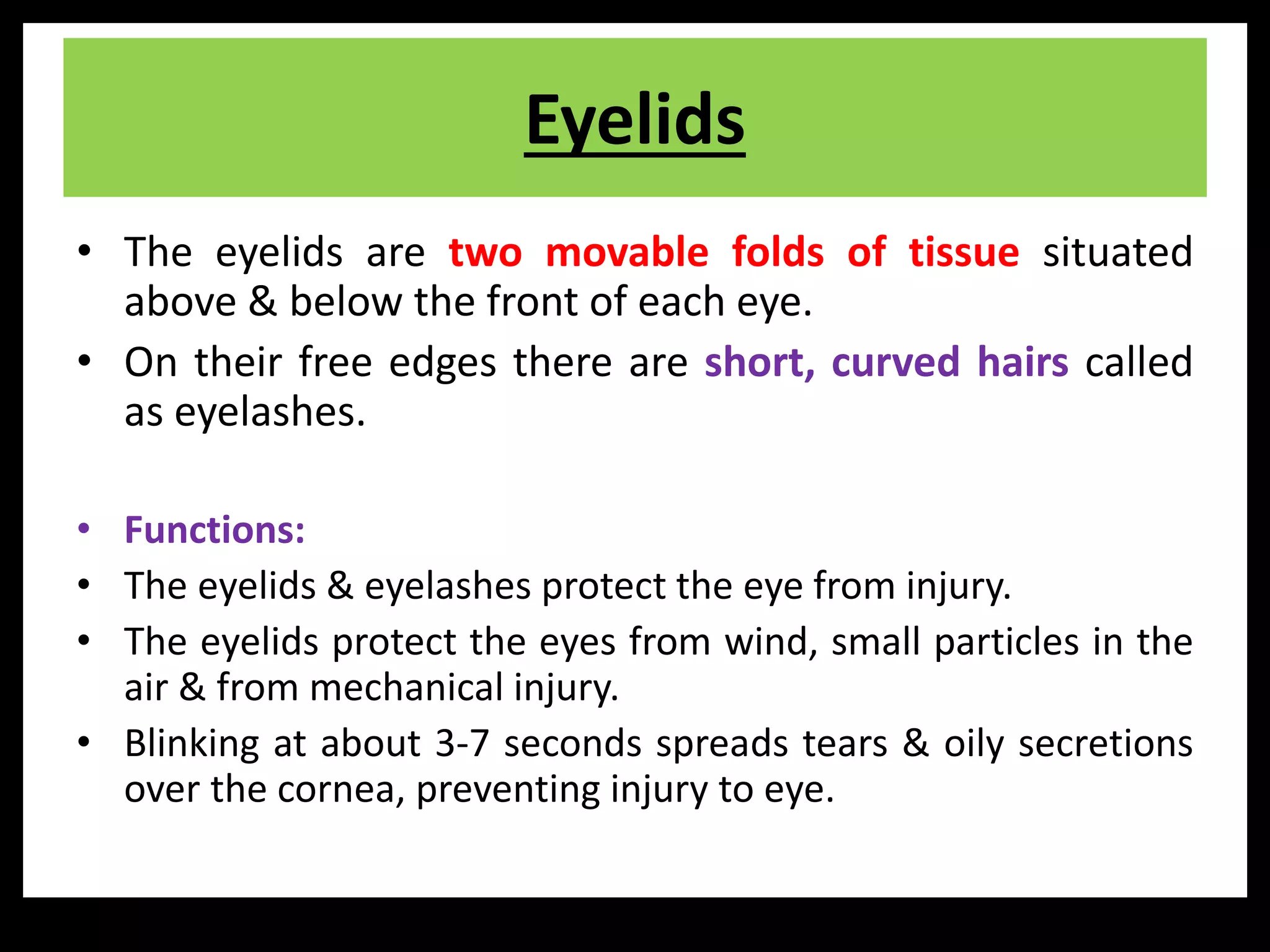 Special sense organs | PPTX