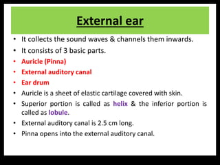Special sense organs | PPTX