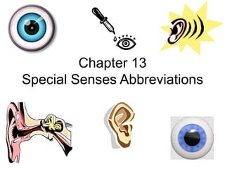 Special Senses | PPT