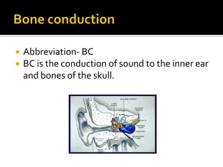 Special senses | PPT