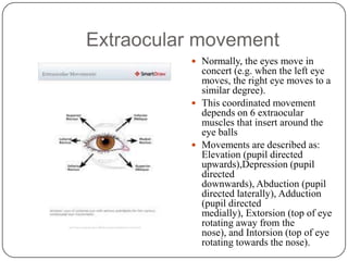 Special senses | PPT