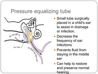 Special senses | PPT