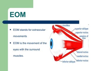 Special senses | PPT