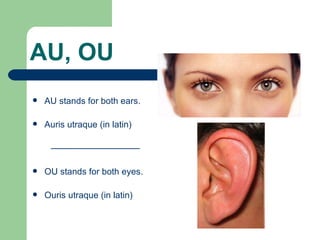 Special senses | PPT