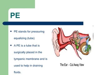 Special senses | PPT