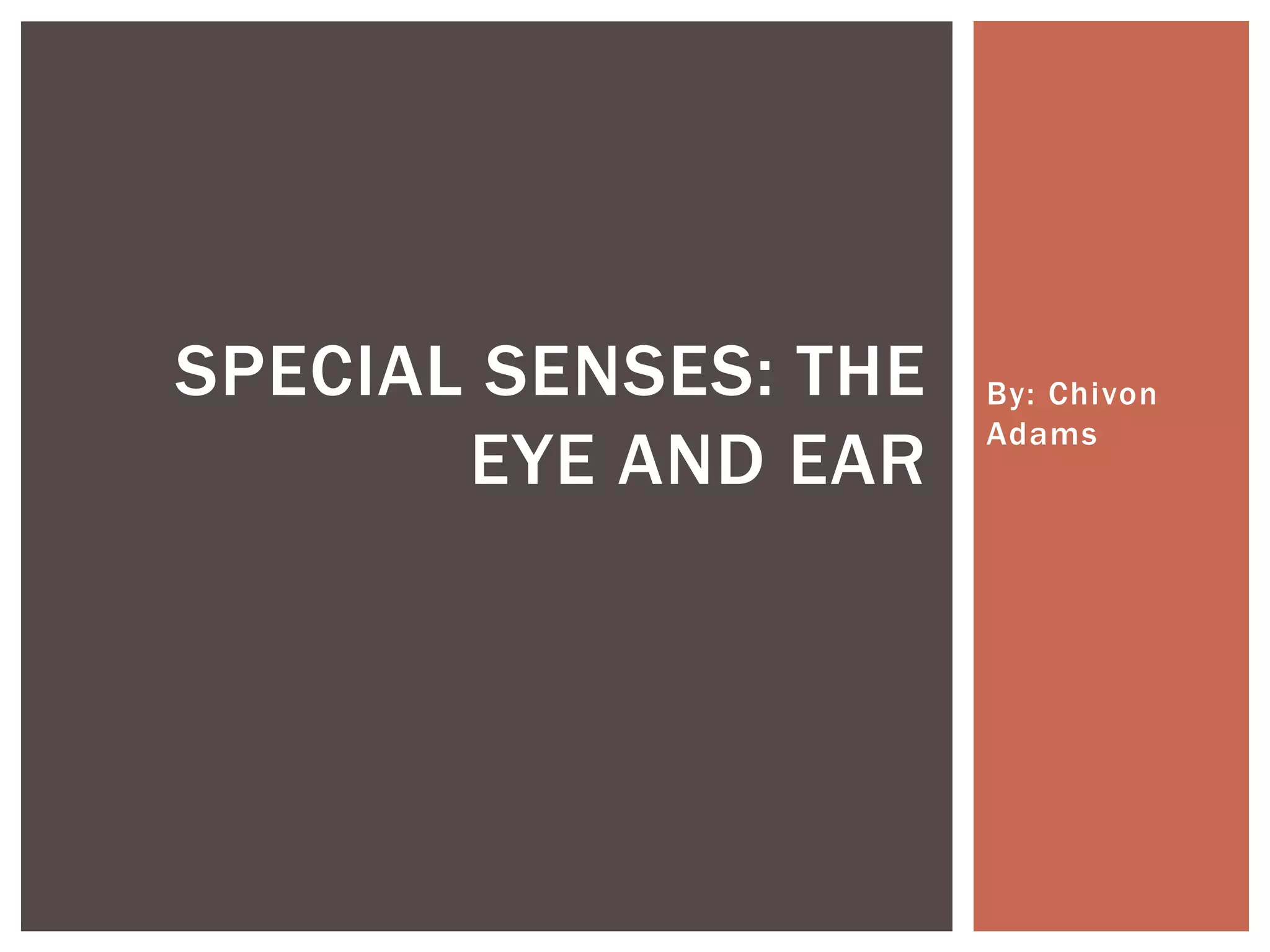 Special senses | PPTX
