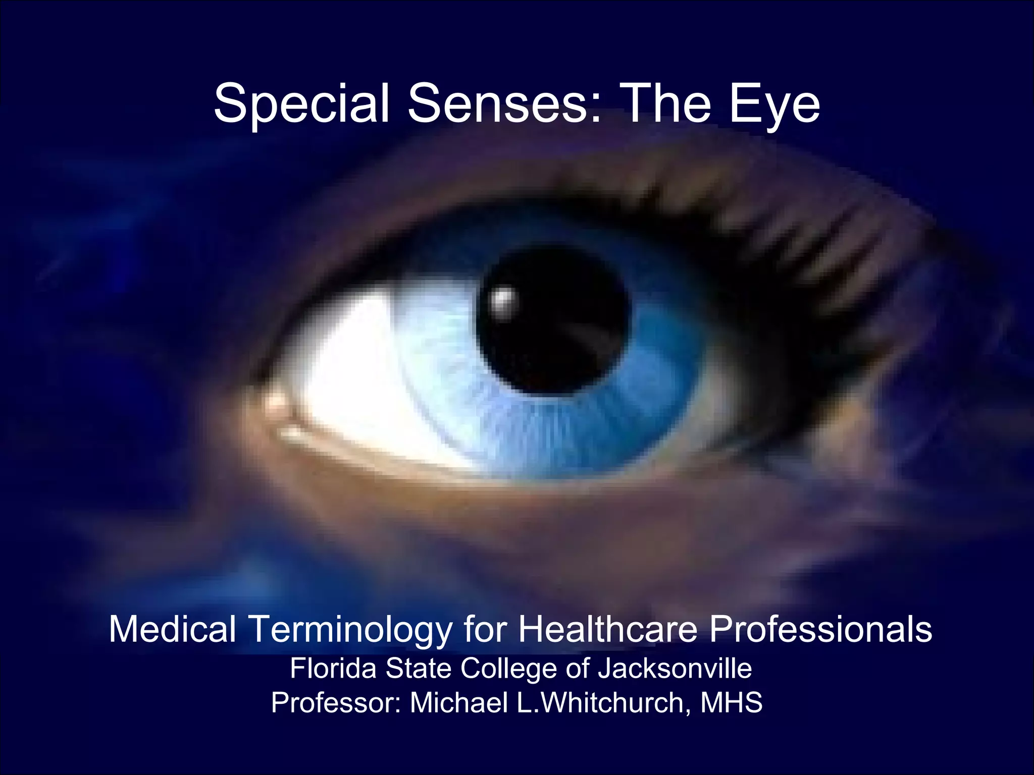 Eyes and Ears Medical Terminology | PPT | Eye and Vision Conditions ...