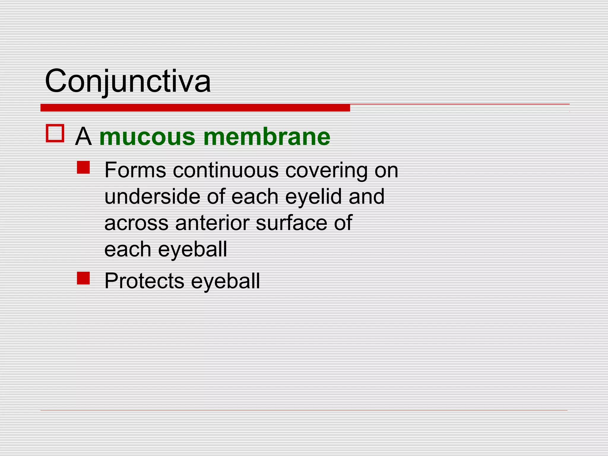 Eyes and Ears Medical Terminology | PPT