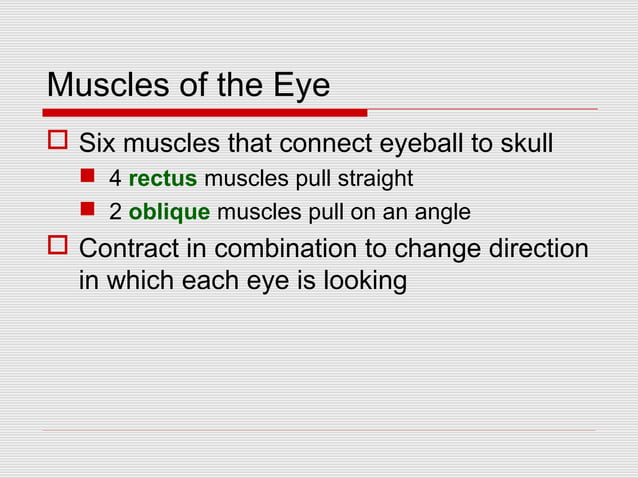Eyes and Ears Medical Terminology | PPT | Eye and Vision Conditions ...