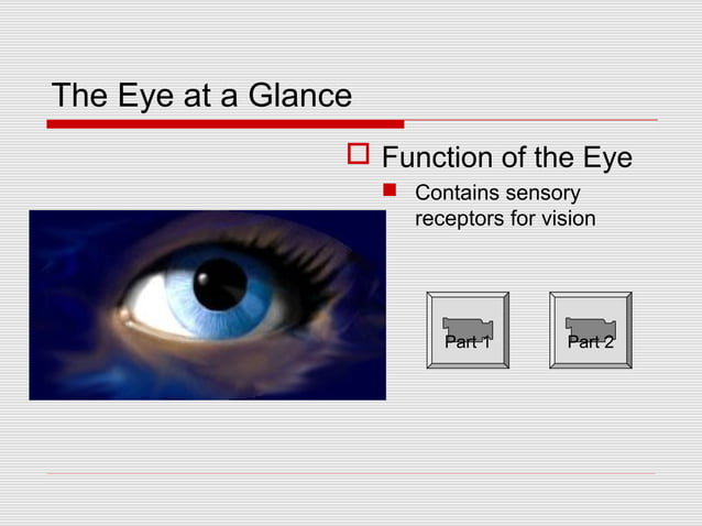Eyes and Ears Medical Terminology | PPT | Eye and Vision Conditions ...