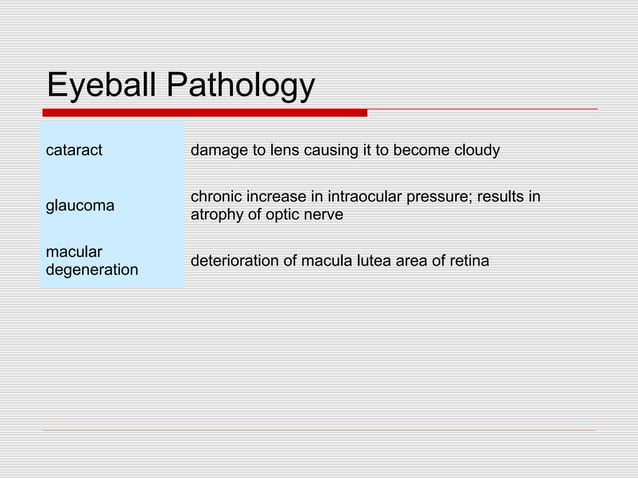 Eyes and Ears Medical Terminology | PPT | Eye and Vision Conditions ...