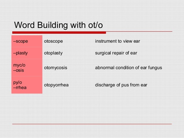 Eyes and Ears Medical Terminology