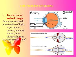 Special senses | PPT