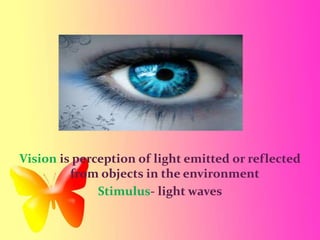 Special senses | PPT