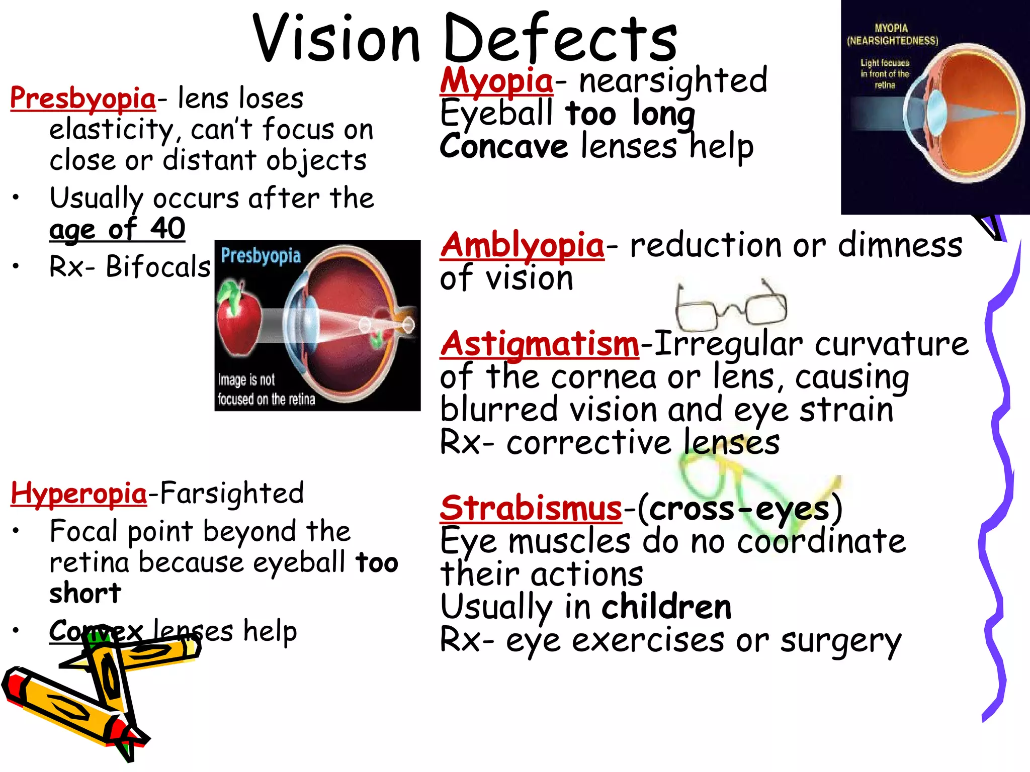 Sensory System | PPT | Ear, Nose and Throat Conditions | Diseases and ...