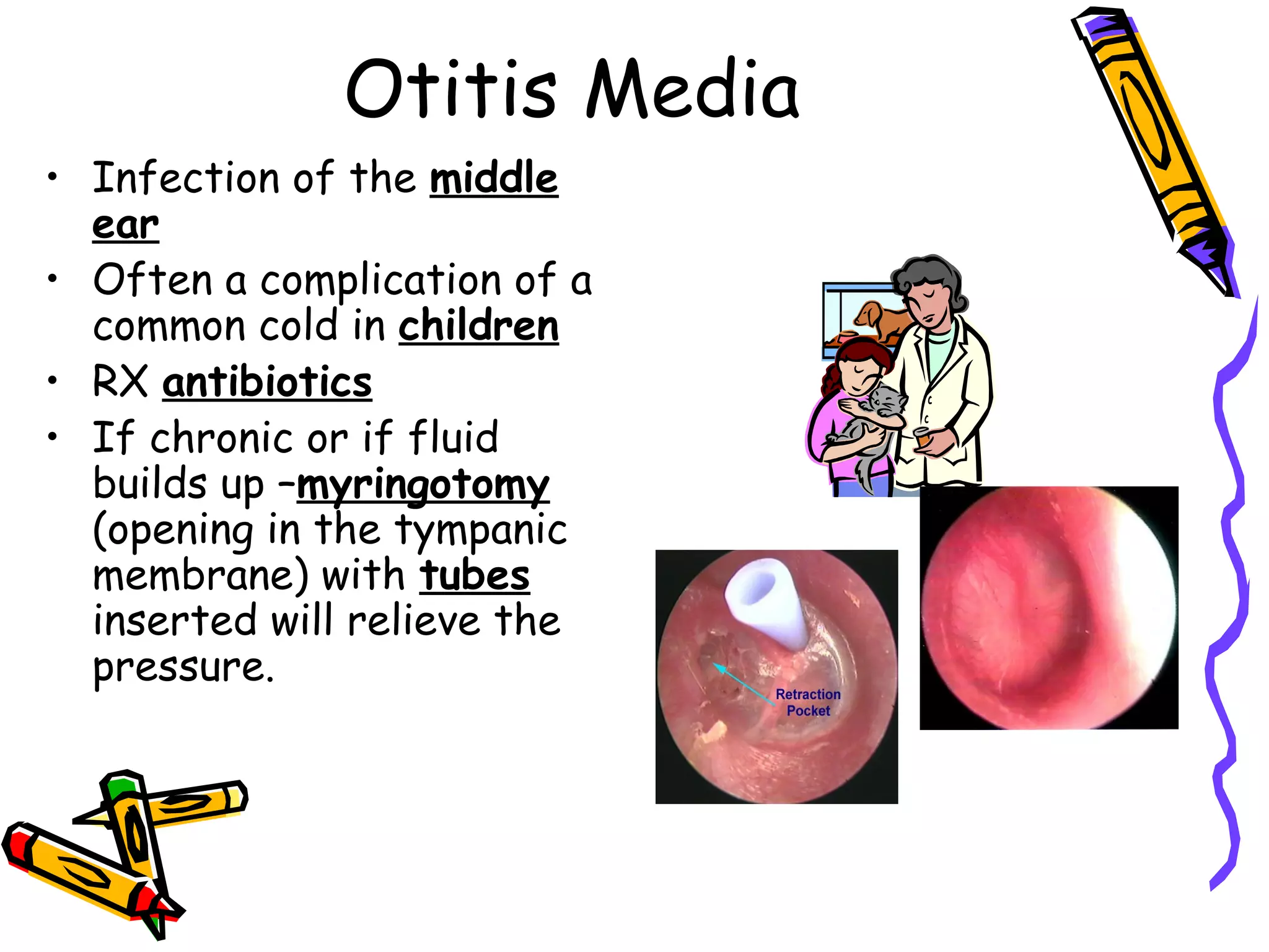 Sensory System | PPT | Ear, Nose and Throat Conditions | Diseases and ...