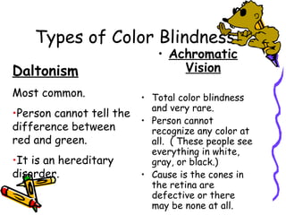Sensory System | PPT