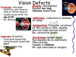 Sensory System | PPT | Ear, Nose and Throat Conditions | Diseases and ...