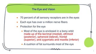 Special senses | PPTX