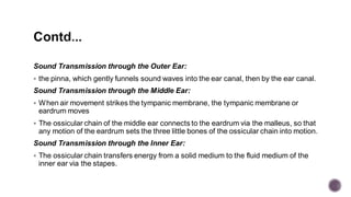 SPECIAL SENSES | PPT