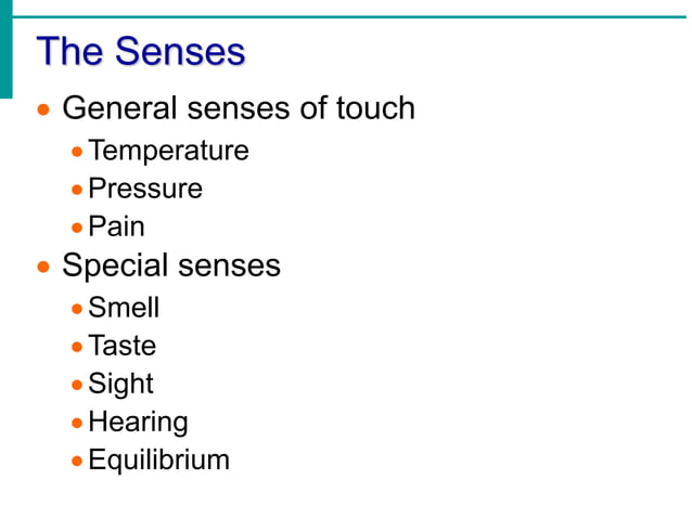 Special senses.pptx