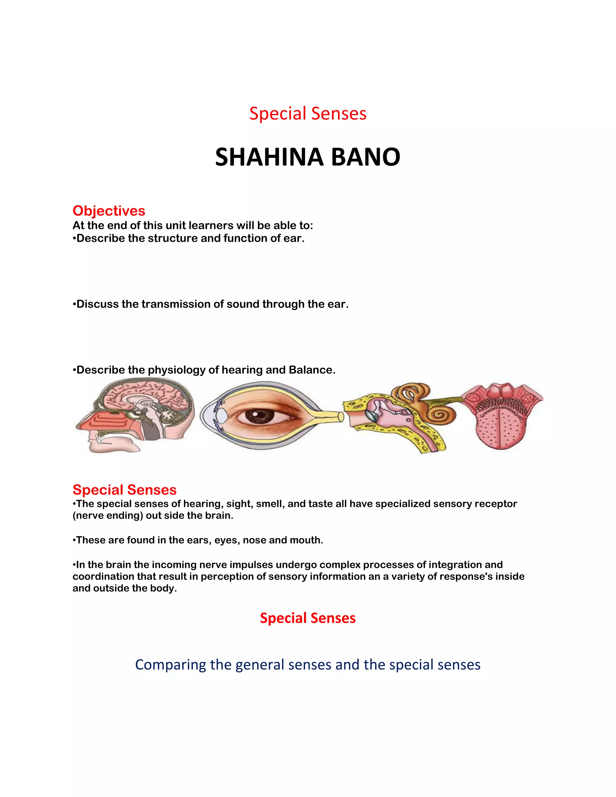 Special Senses.pdf