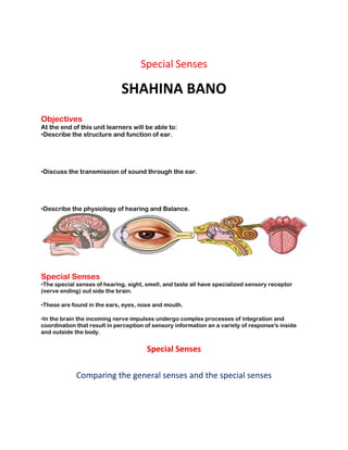Special Senses.pdf