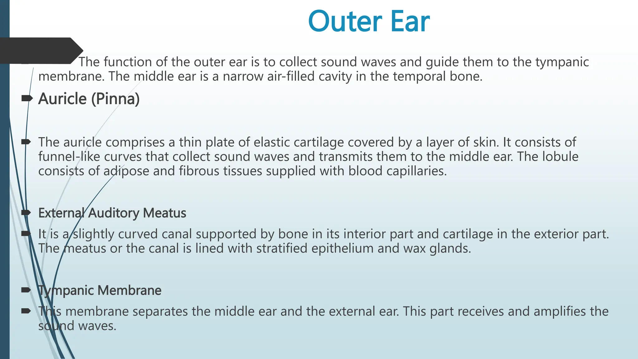 Special Senses eye, ear , nose, tongue ppt | PPTX