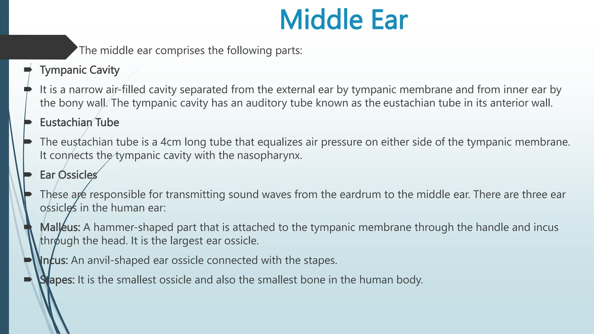 Special Senses eye, ear , nose, tongue ppt | PPTX