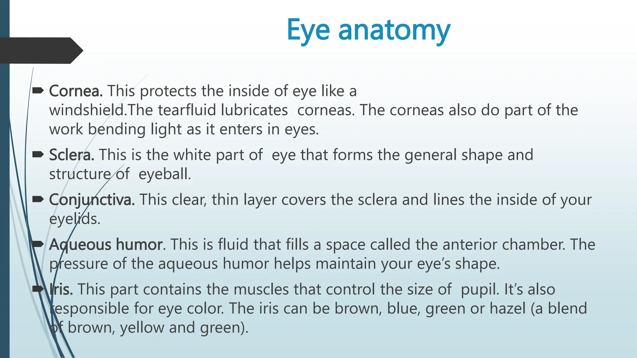 Special Senses eye, ear , nose, tongue ppt | PPTX