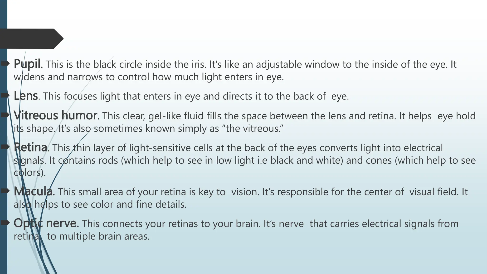 Special Senses eye, ear , nose, tongue ppt | PPTX