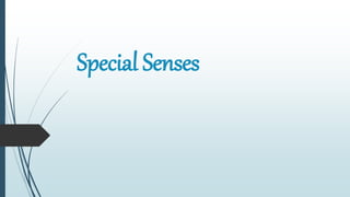 Special Senses eye, ear , nose, tongue ppt | PPTX