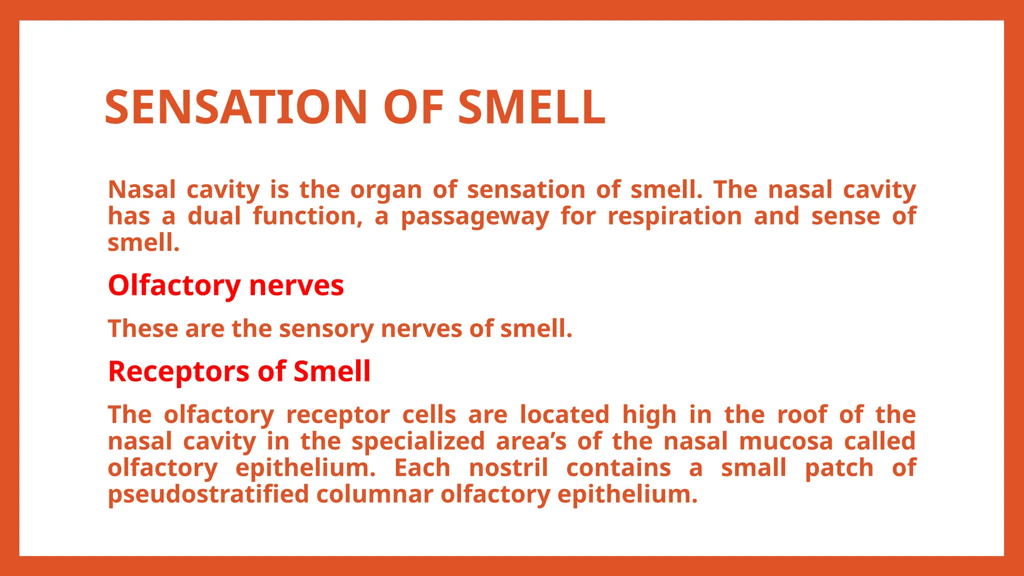 SPECIAL SENSES, IT'S FUNCTIONS & DIFFERENT RECEPTORS.pptx