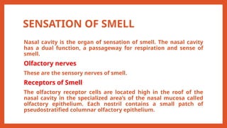 SPECIAL SENSES, IT'S FUNCTIONS & DIFFERENT RECEPTORS.pptx