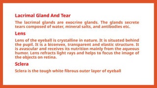 SPECIAL SENSES, IT'S FUNCTIONS & DIFFERENT RECEPTORS.pptx