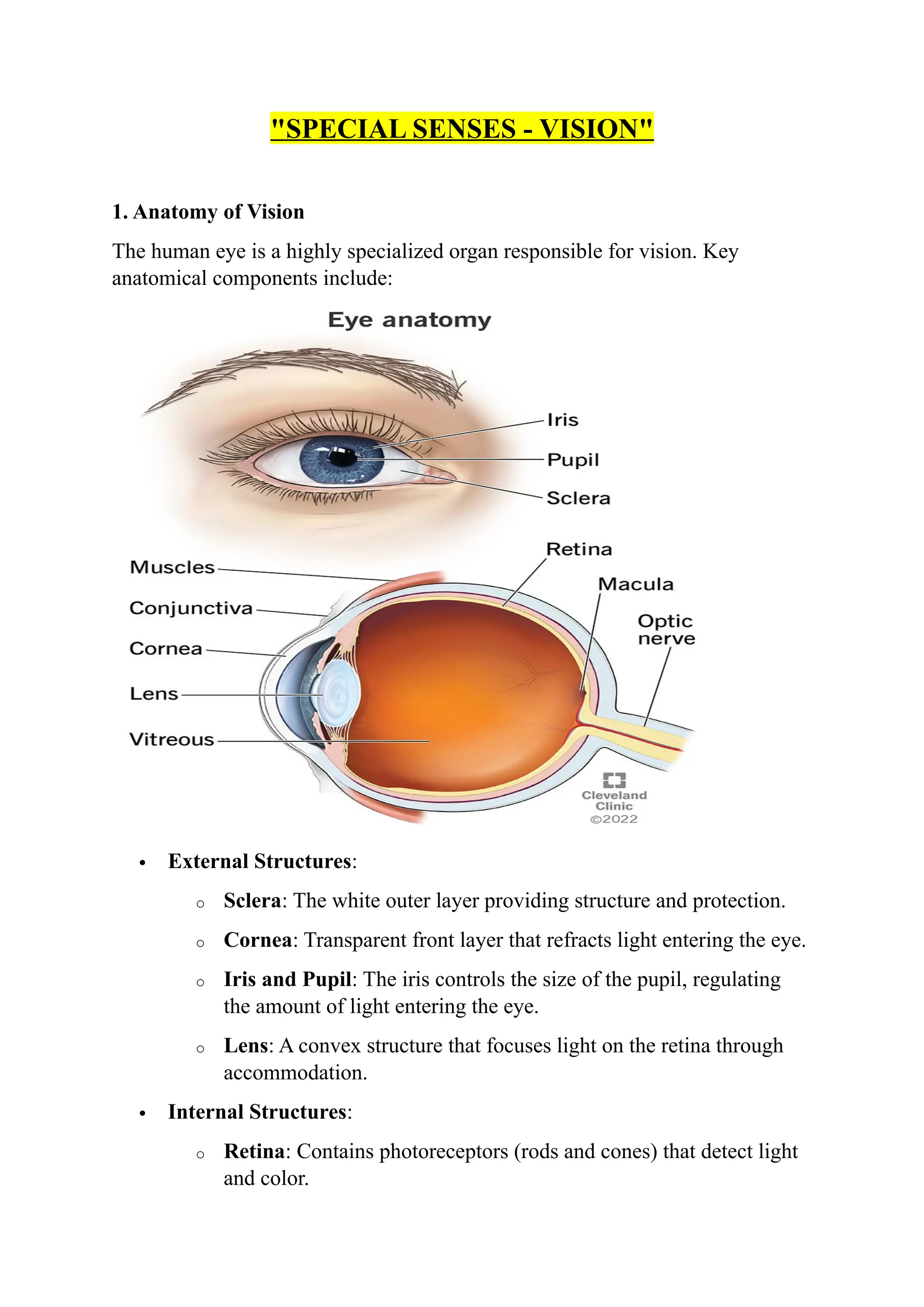 special senses - VISION (ANATOMY, PHYSIOLOGY, INTERVENTIONS ...