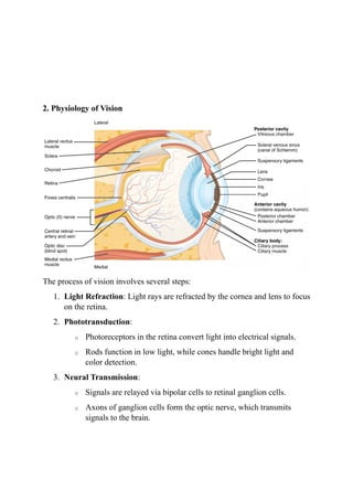 special senses - VISION (ANATOMY, PHYSIOLOGY, INTERVENTIONS ...