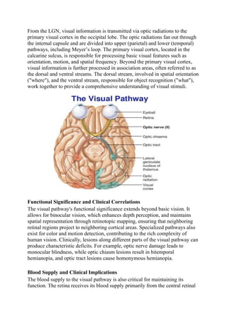 special senses - VISION (ANATOMY, PHYSIOLOGY, INTERVENTIONS ...