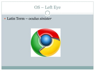 Special senses chapter 13 | PPTX