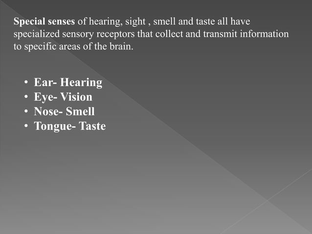 Special senses ear ppt | PPTX | Ear, Nose and Throat Conditions ...