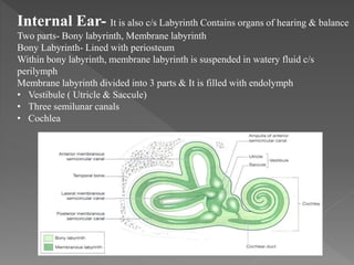 Special senses ear ppt | PPTX