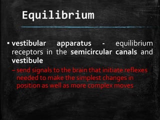 Special Senses - Equilibrium and Hearing | PPTX