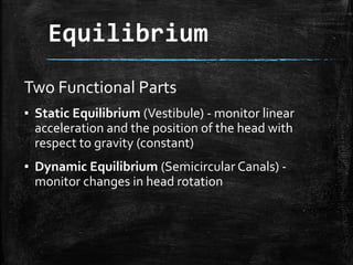 Special Senses - Equilibrium and Hearing | PPTX