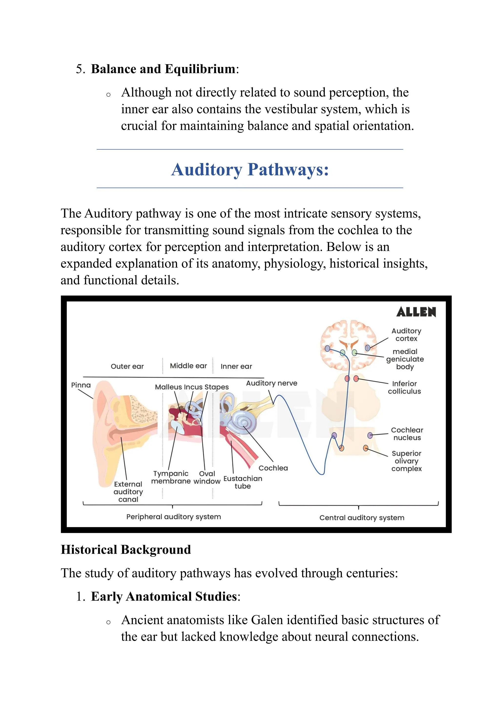 special senses-HEARING , VESTIBULAR - IN DETAIL LECTURE NOTES | PDF