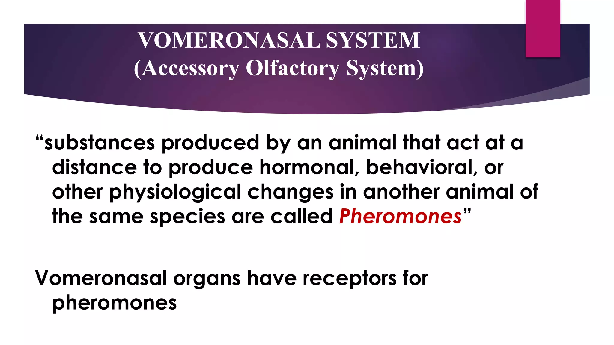 Special senses olfaction | PPTX