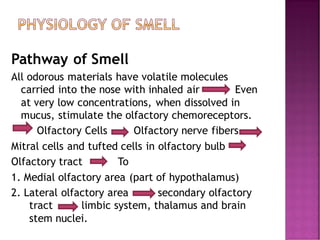 SPECIAL SENSES - part .............1.pdf